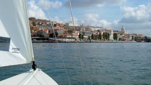 Compleet HYS Randmeer rolfoksysteem op buis met prima fok - Advertentie ...