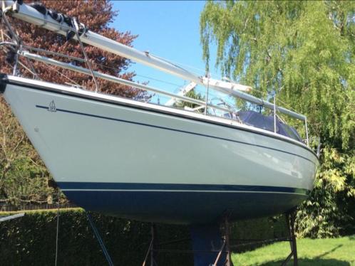 Dehler 31 Top - Advertentie 802112