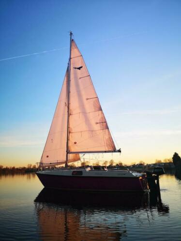 Etap 20 trailerbare kajuit zeilboot - Advertentie 931176