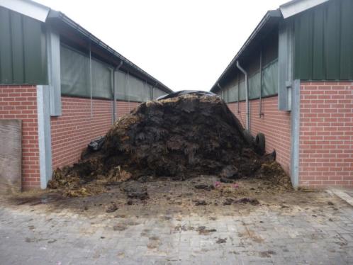 Oude koemest mest compost - Advertentie 664412