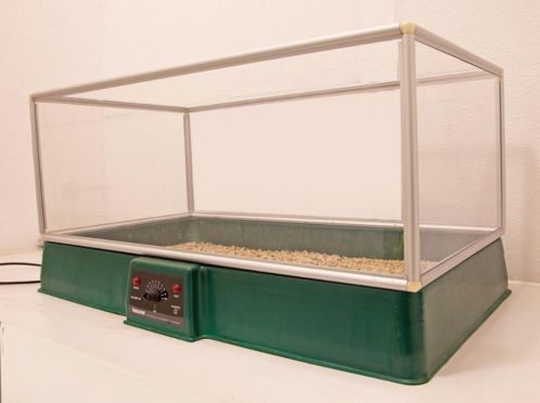 Parasene kweekkastje met 50 Watt verwarming - Advertentie 335537