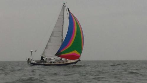 Raider 35 ontwerp Frans Maas - Advertentie 845815