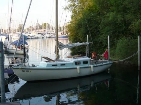 Te koop Halcyon 27 - Advertentie 567448