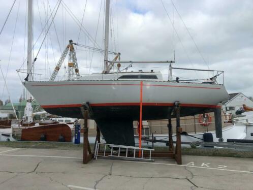 Te koop standfast 27 loper - Advertentie 1243349